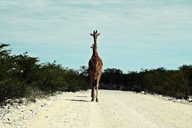 Namibia Tag für Tag Teil II