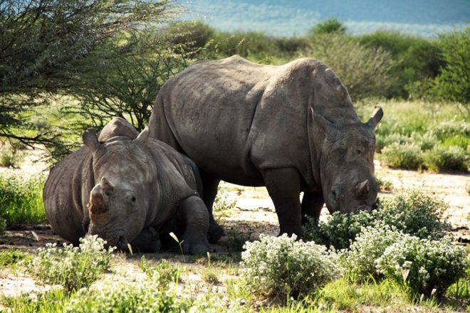 Namibia Tag für Tag Teil II