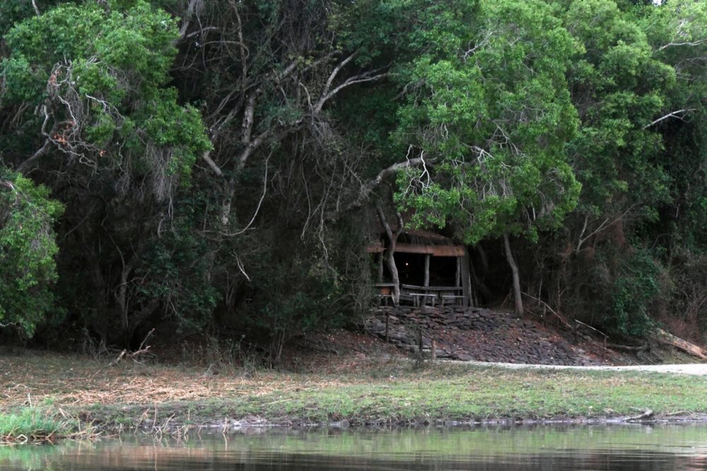 Eine Insel im Sambesi: Bovu Island