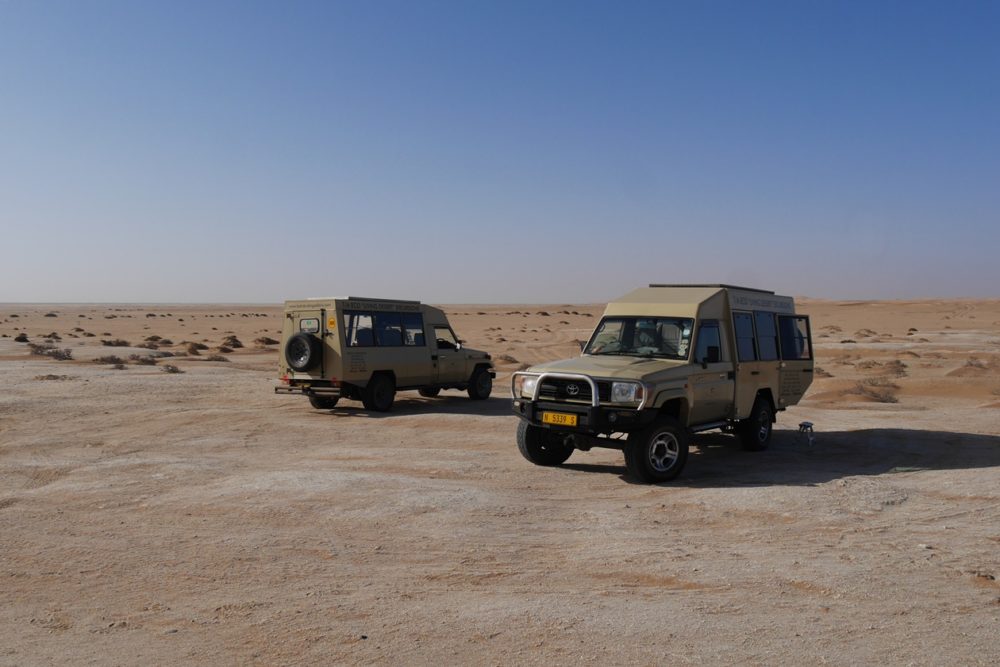 Die Wüste lebt - ein Besuch bei den Little Five in Namibia