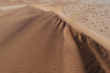 Die Wüste lebt - ein Besuch bei den Little Five in Namibia