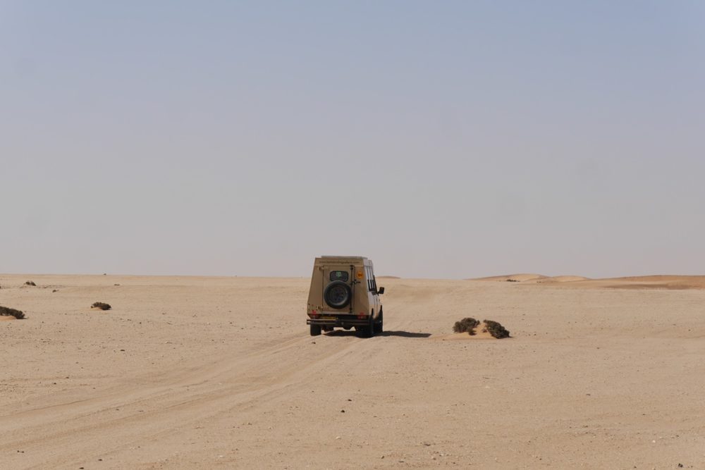 Die Wüste lebt - ein Besuch bei den Little Five in Namibia