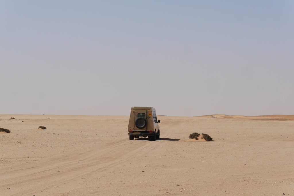 Die Wüste lebt - ein Besuch bei den Little Five in Namibia
